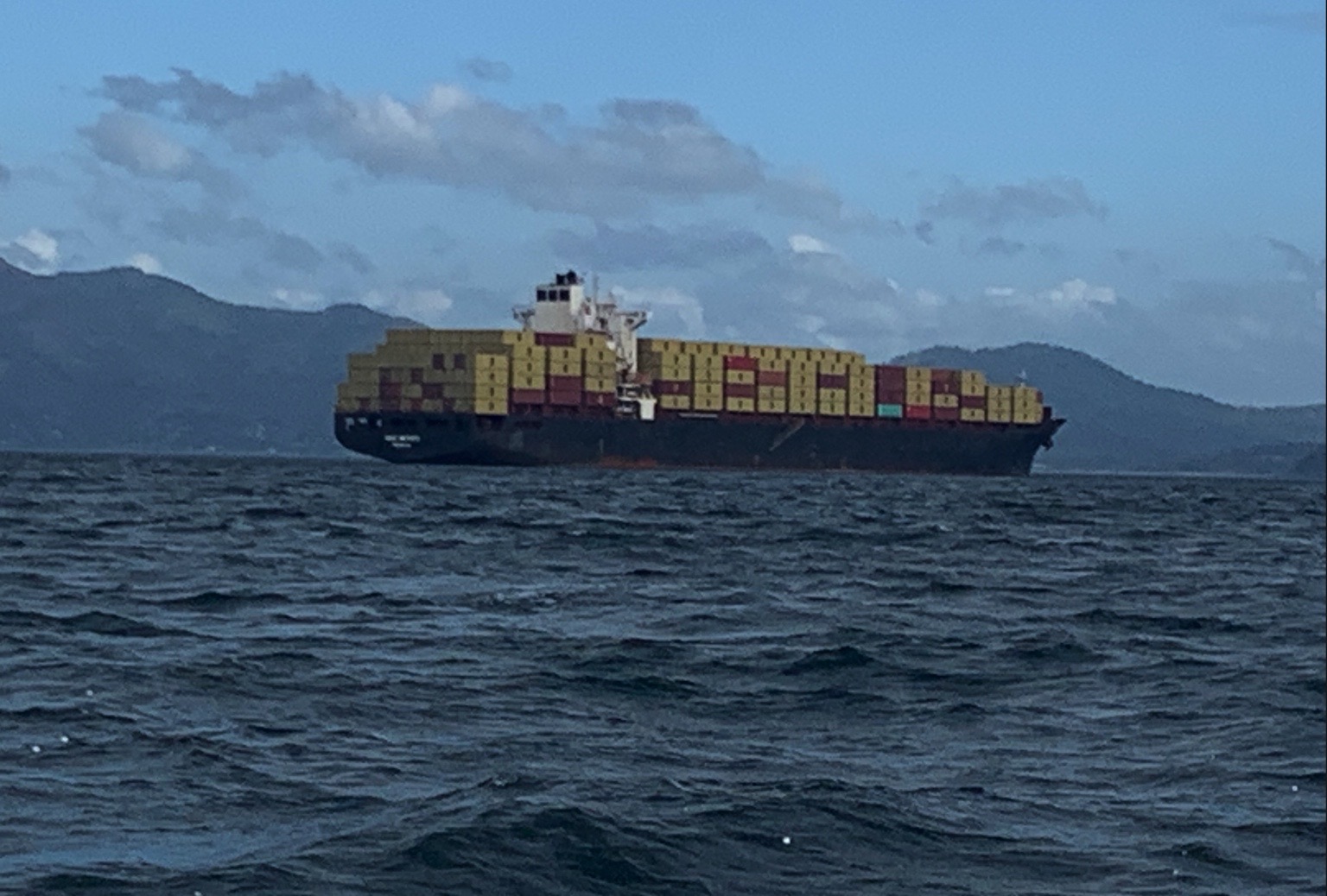 MSC se consolidará en el mercado 2025 - Panorama Marítimo y Logístico